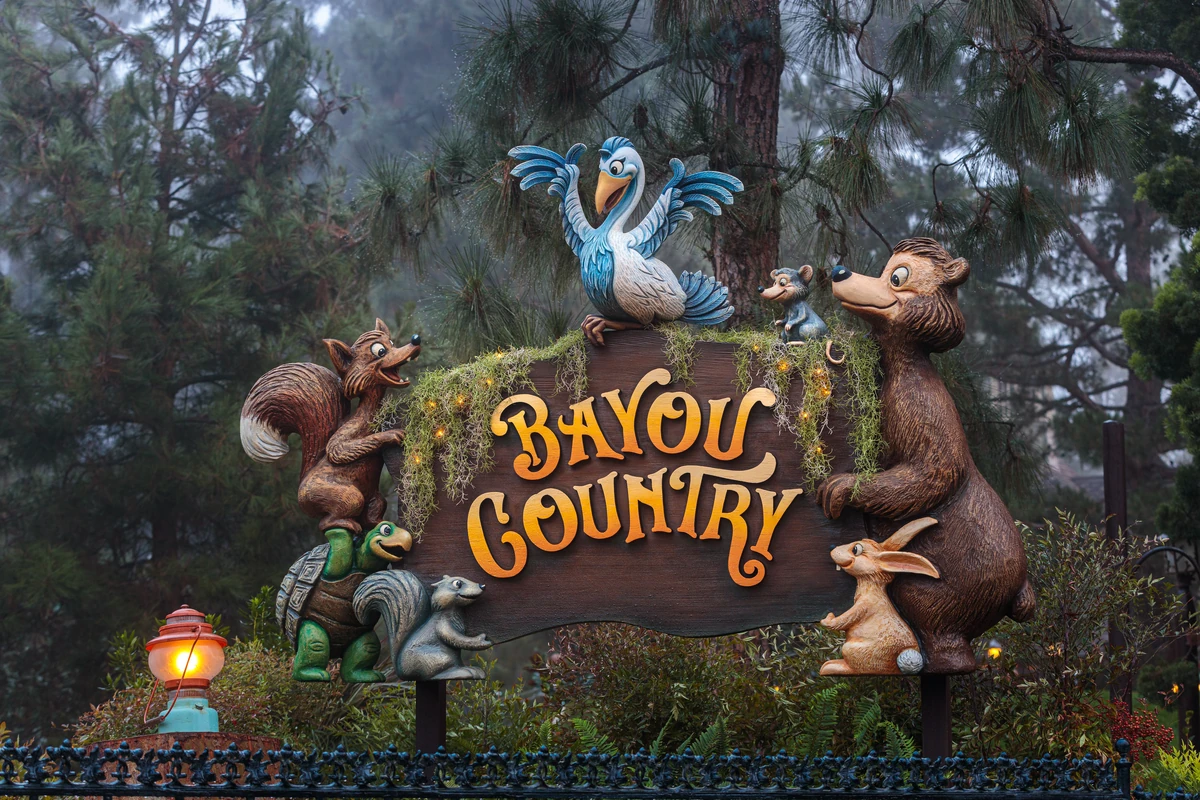 Bayou Country | Disney Wiki | Fandom