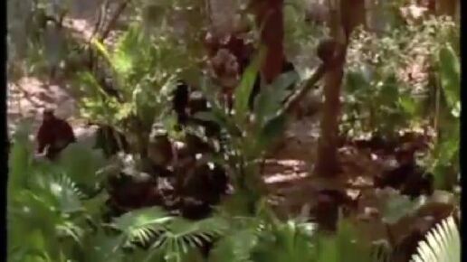 The Bandits | Disney Wiki | Fandom