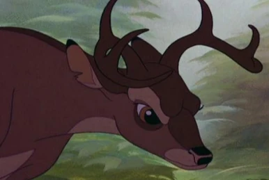 Derrota De Bambi 2 Ronno