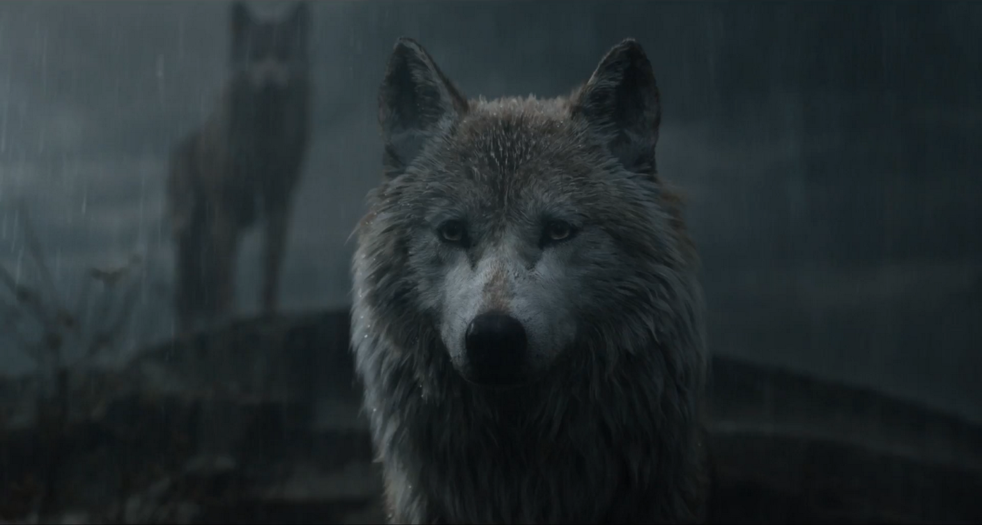 Raksha Jungle Book Wiki Fandom Powered By Wikia Scouting Magazine