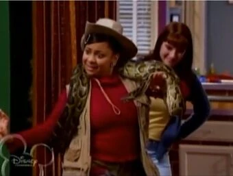 Party Animal | Disney Wiki | Fandom