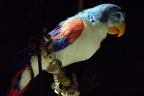 Pierre | Disney Wiki | Fandom