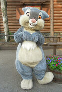 Thumper Costumes Through The Years | Disney Wiki | Fandom