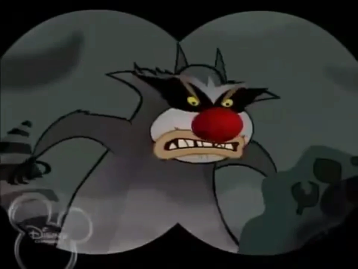 Racooooon! | Disney Wiki | Fandom