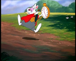 White Rabbitgallery Disney Wiki Fandom Powered By Wikia