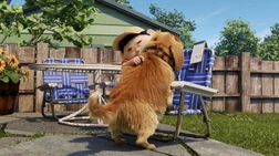 Dug/Relationships | Disney Wiki | Fandom