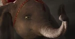 Dumbo | Disney Wiki | Fandom