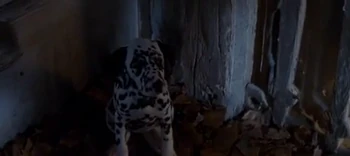 Lucky (101 Dalmatians 1996) | Disney Wiki | Fandom