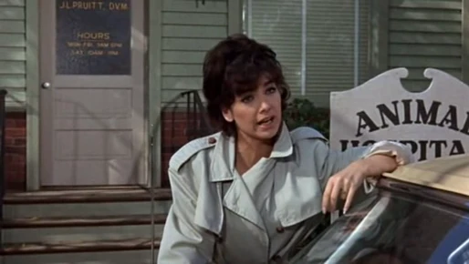 Fran Garrison | Disney Wiki | Fandom