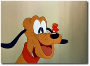 Orville the Baby Bird | Disney Wiki | Fandom