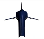 Shark | Disney Wiki | Fandom