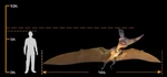Pteranodon/Gallery | Disney Wiki | Fandom