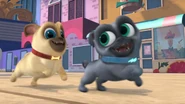 Rolly | Disney Wiki | Fandom