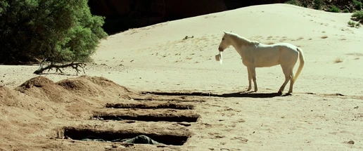 Silver | Disney Wiki | Fandom