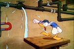 Donald and Pluto | Disney Wiki | Fandom