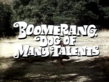 Boomerang, Dog of Many Talents | Disney Wiki | Fandom