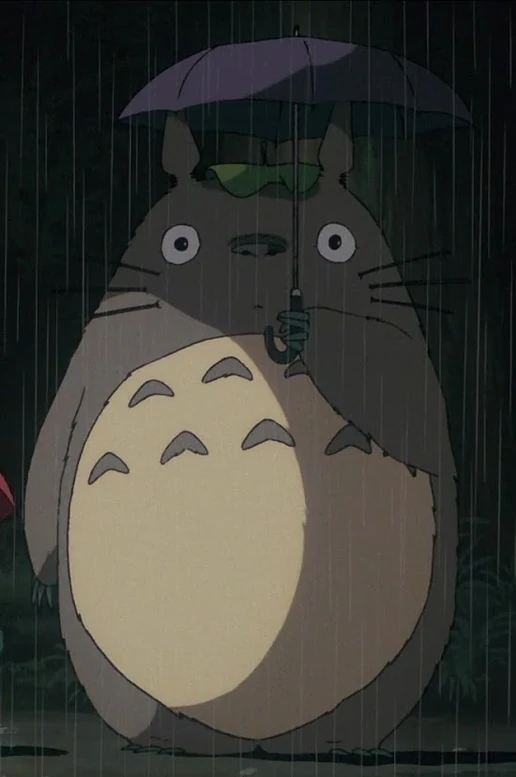 Totoro | Disney Wiki | Fandom