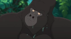Kerchak Tarzan Angry