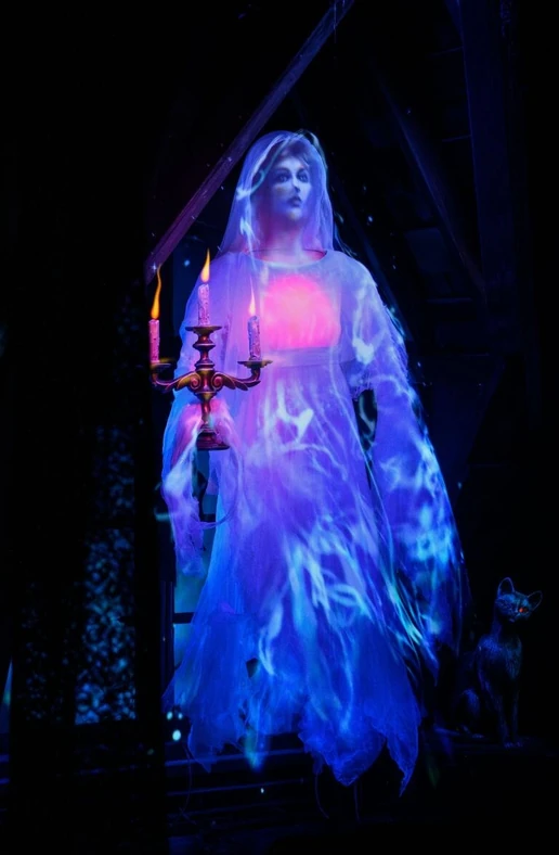 Beating-Heart Bride | Disney Wiki | Fandom