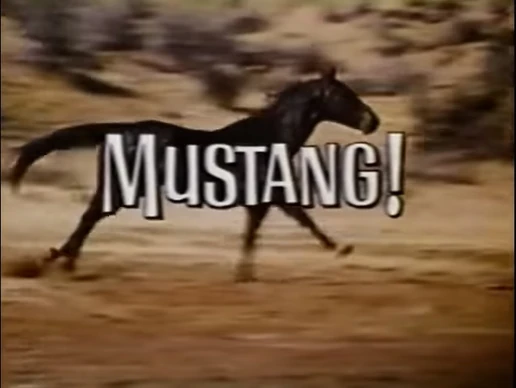 Mustang! | Disney Wiki | Fandom