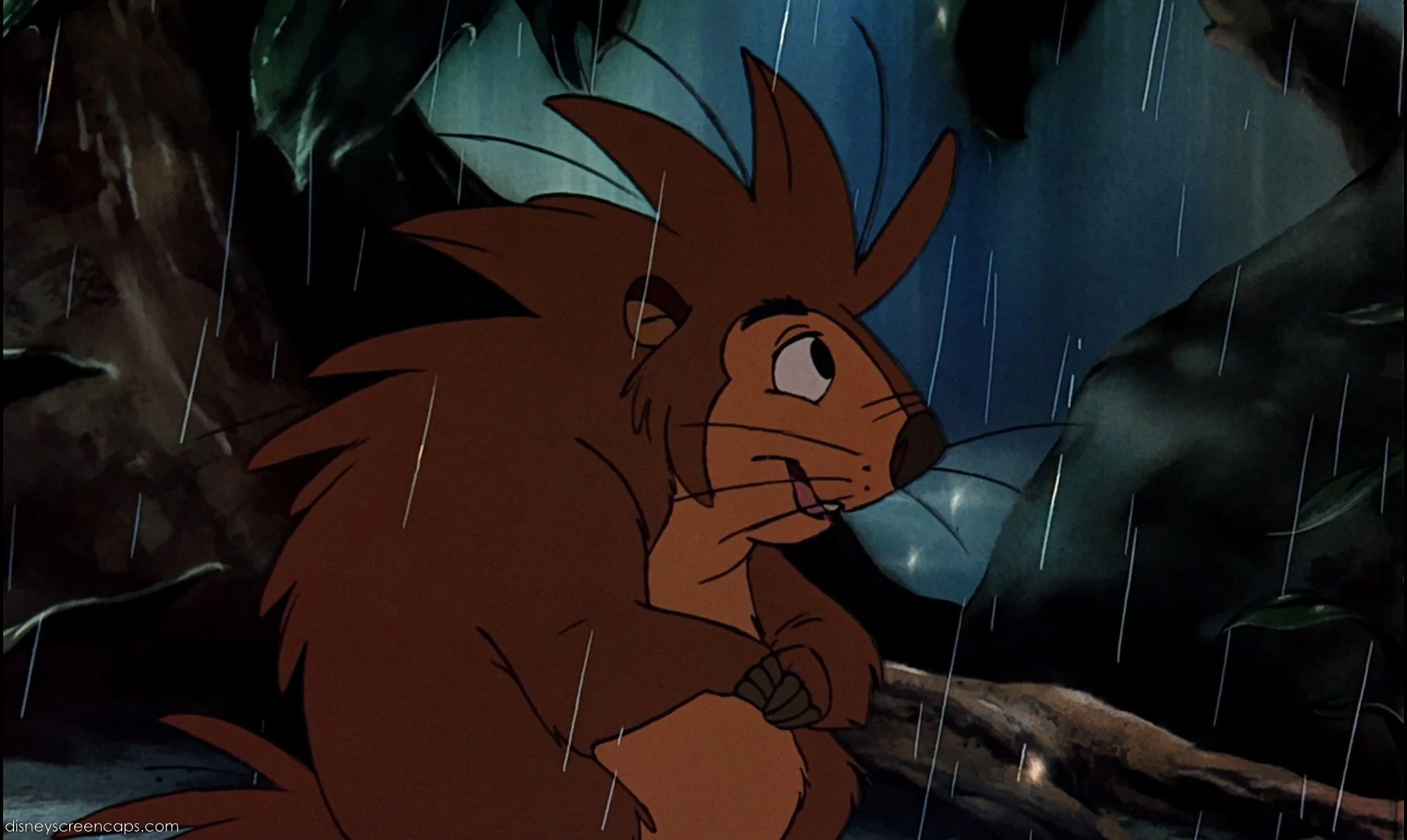 Porcupine (The Fox and the Hound) | Disney Wiki | Fandom