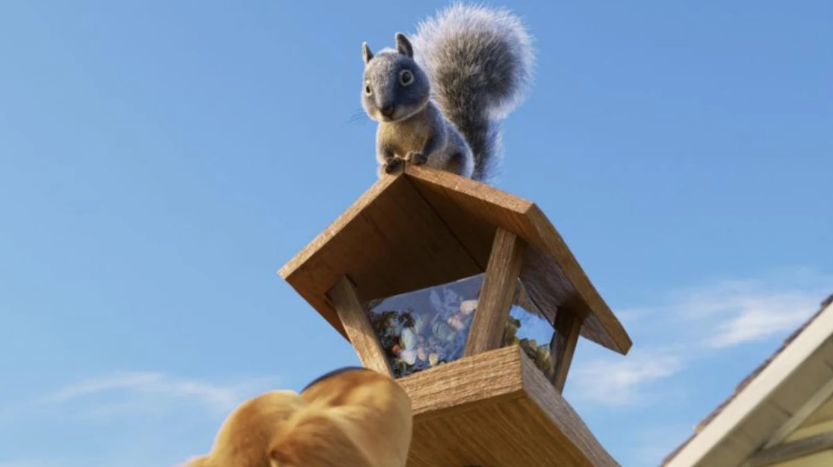 Squirrel! | Disney Wiki | Fandom
