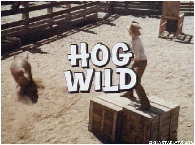 Hog Wild | Disney Wiki | Fandom