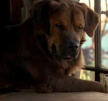 Riley | Disney Wiki | Fandom