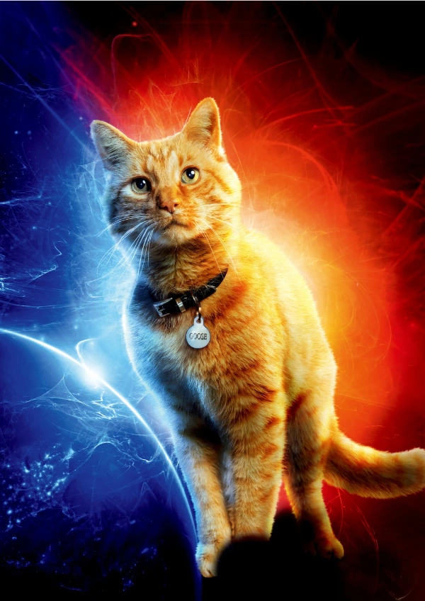 Goose | Disney wiki | Fandom