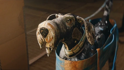 Dave the Dog | Disney Wiki | Fandom