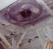 Bats | Disney Wiki | Fandom