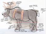 Sven | Disney Wiki | Fandom