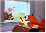 Pedro | Disney Wiki | Fandom