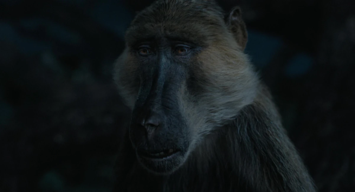 Junia | Disney Wiki | Fandom