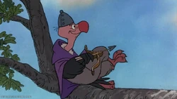 Robin Hood Nutsy
