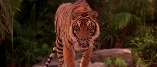 Shere Khan Disney Wiki Fandom