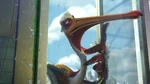 Nigel (Finding Nemo)/Gallery | Disney Wiki | Fandom