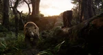 Baloo | Disney Wiki | Fandom