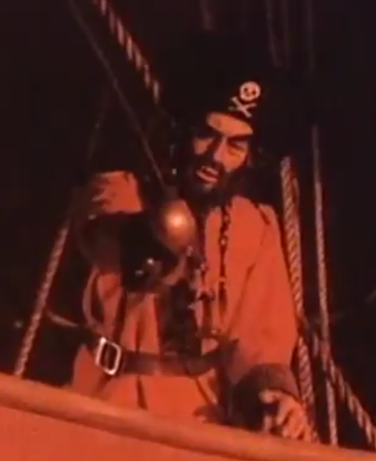 Pirate Captain | Disney Wiki | Fandom