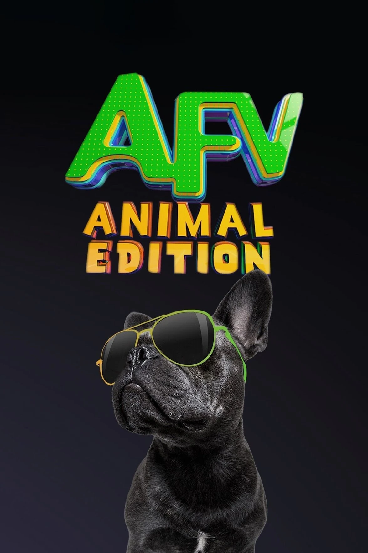 America's Funniest Home Videos: Animal Edition | Disney Wiki | Fandom