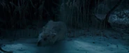 Wolves (Beauty and the Beast 2017) | Disney Wiki | Fandom