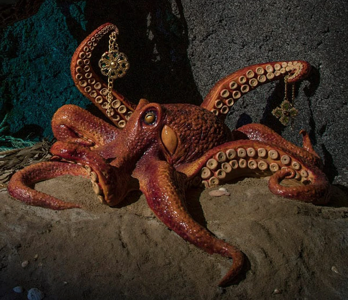 Treasure Octopus | Disney Wiki | Fandom
