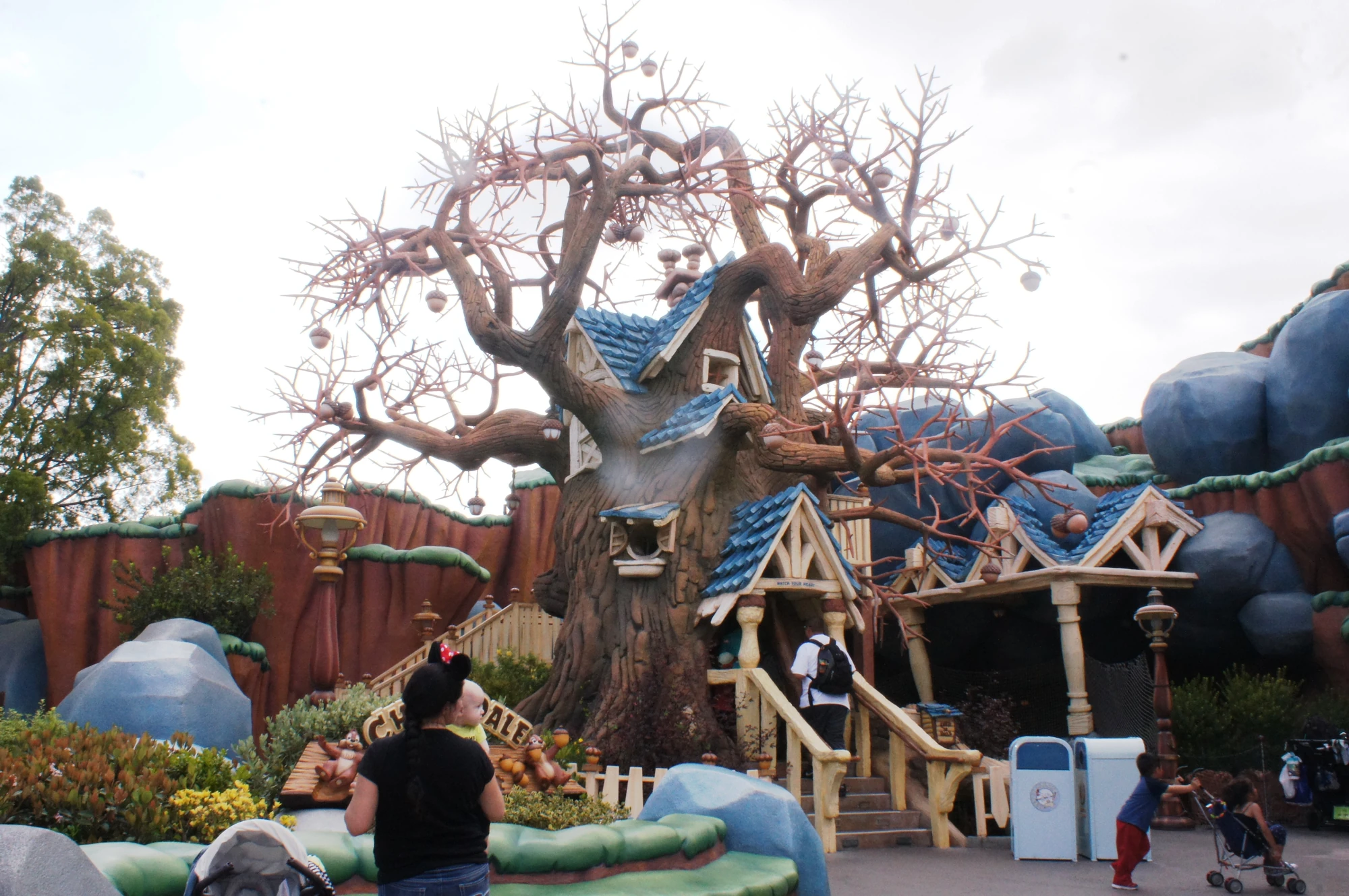 Chip and Dale's Treehouse | Disney Wiki | Fandom