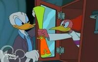Donald Duck Through the Years | Disney Wiki | Fandom