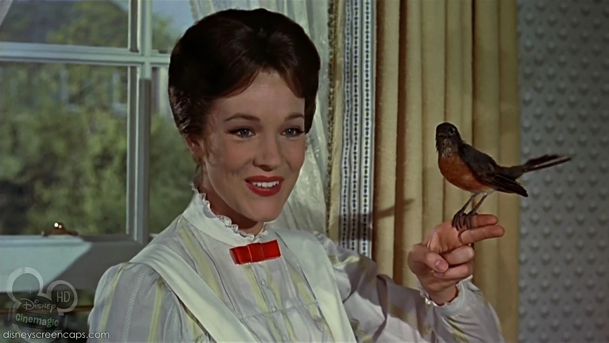 Robins (Mary Poppins) | Disney Wiki | Fandom