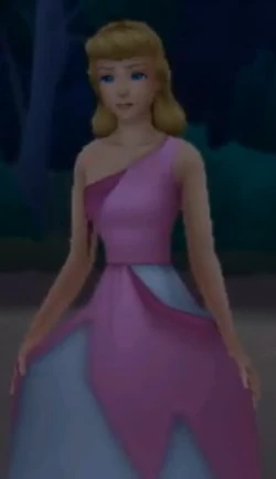 Pink Cinderella Dress 2015