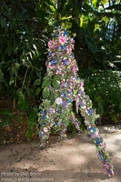 DiVine | Disney Wiki | Fandom