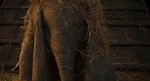Dumbo | Disney Wiki | Fandom