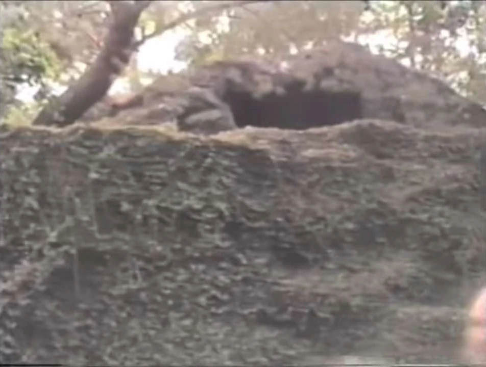 Rufus' Cave | Disney Wiki | Fandom