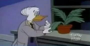 Bushroot/Gallery | Disney Wiki | Fandom